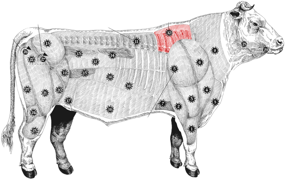 Dierendonck - Ribeye Holstein